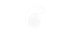 Premium Hair Care Products in Pakistan | Colourway – Colour Way